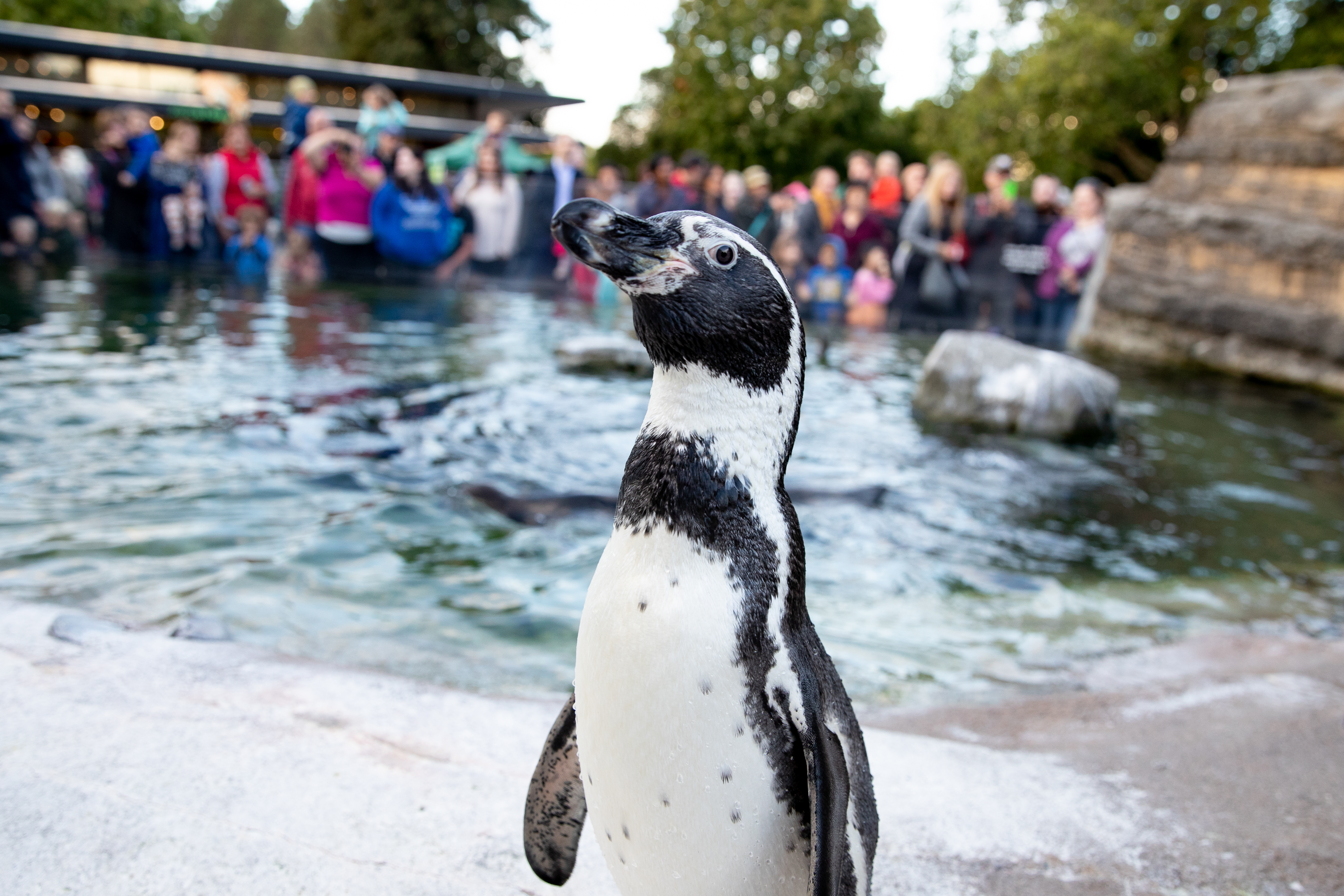 Retained Life Estates | Woodland Park Zoo